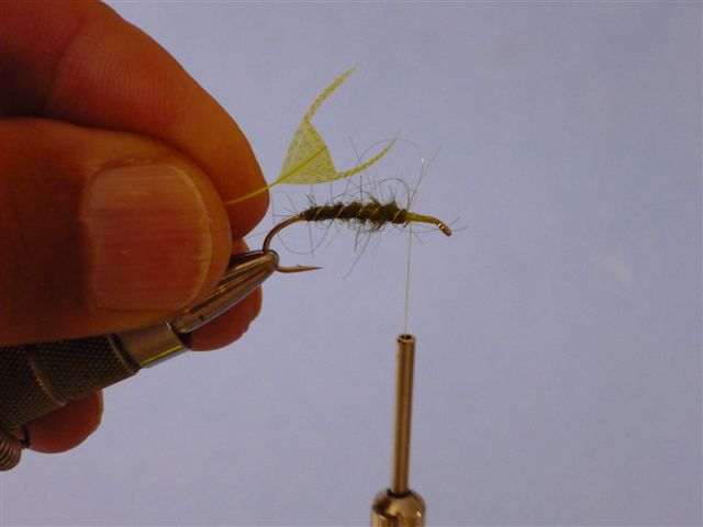 UNI Products J.G. Côté inc. | Sedge Pupa